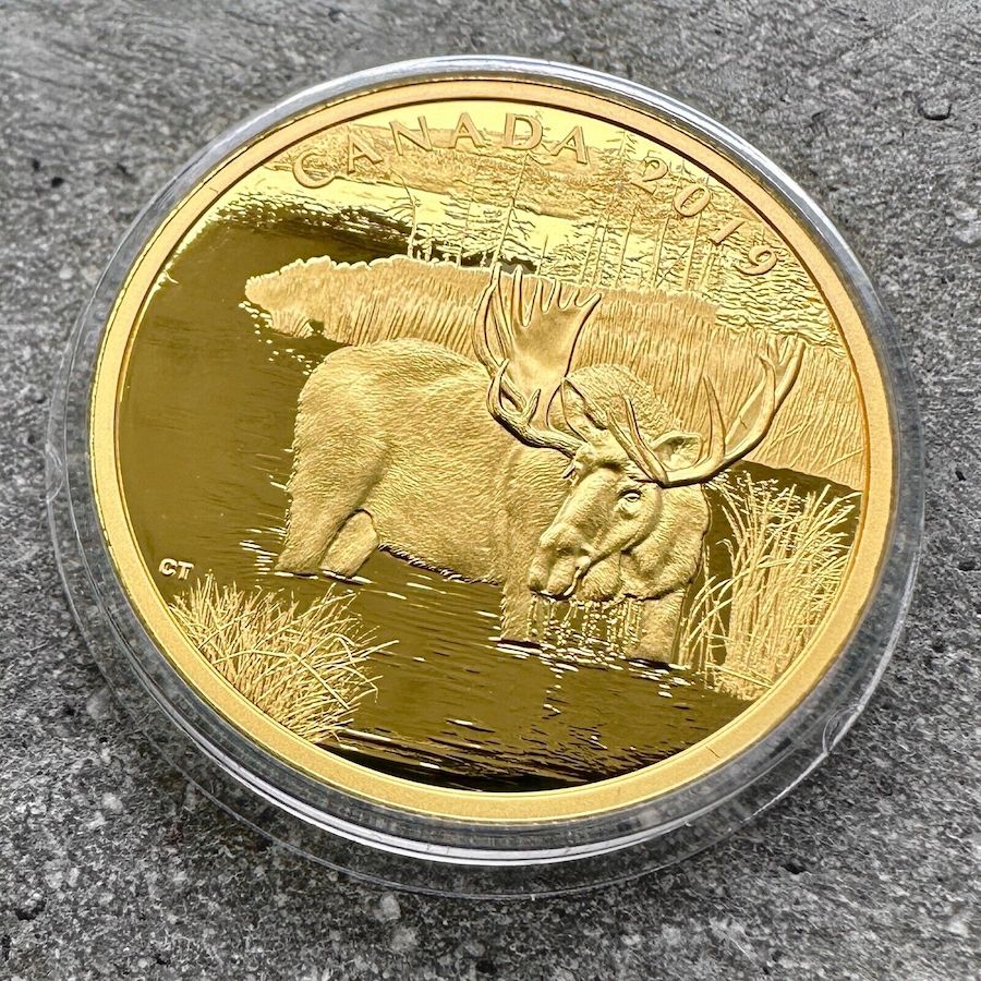 2019 Canadian Moose $200 Canada 1oz Gold Coin Queen Elizabeth II - 400 ...